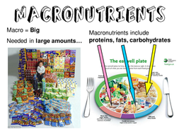 Macronutrients | Teaching Resources