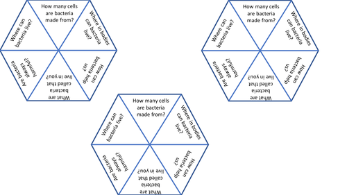 A Level Biology Plant & Animal Pathogens Lesson | Teaching Resources
