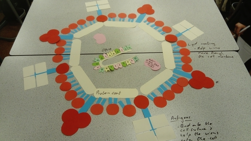 A Level Biology Plant & Animal Pathogens Lesson | Teaching Resources