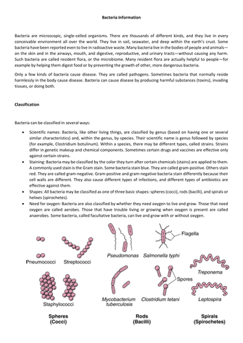 A Level Biology Plant & Animal Pathogens Lesson | Teaching Resources