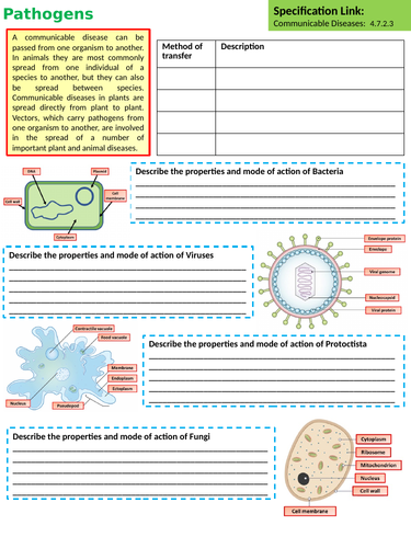 A Level Biology Plant & Animal Pathogens Lesson | Teaching Resources
