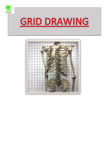 Art. Grid Drawing. Skeleton front torso | Teaching Resources
