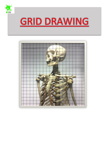 Art. Grid Drawing. Skeleton torso | Teaching Resources