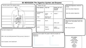 Revision mat NEW AQA GCSE B3 unit on Digestion and Enzymes | Teaching ...