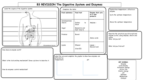 Revision mat NEW AQA GCSE B3 unit on Digestion and Enzymes | Teaching ...