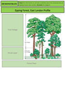 GCSE GEOGRAPHY AQA 9-1 Ecosystems SoW | Teaching Resources