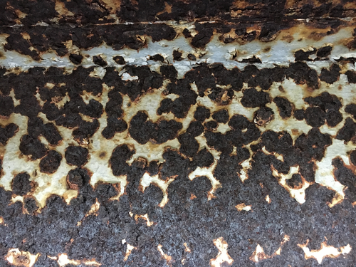 World War Two: Inside a German Bunker | Teaching Resources