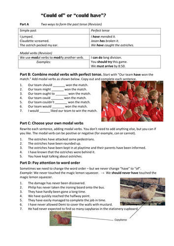 Could have, not "could of": lesson and homework task. Train your class ...