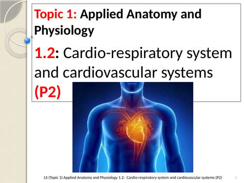 A-level PE EDEXCEL (Spec 2016) 1.2: Cardio-Respiratory System ...