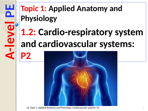 A-level PE EDEXCEL (Spec 2016) 1.2: Cardio-Respiratory System ...