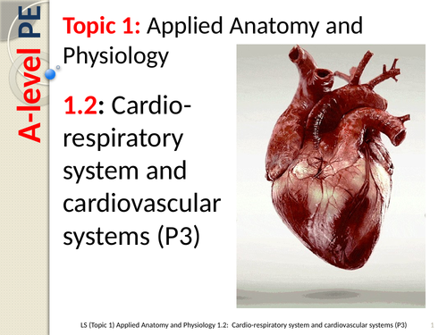 A-level PE EDEXCEL (Spec 2016) 1.2: Cardio-Respiratory & Cardiovascular ...