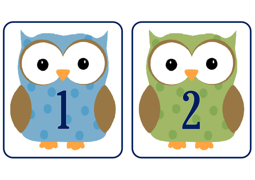 OWLS TEACHING RESOURCES - ANIMALS BIRDS NOCTURNAL SCIENCE LITERACY ...