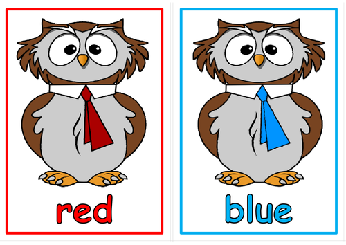 OWLS TEACHING RESOURCES - ANIMALS BIRDS NOCTURNAL SCIENCE LITERACY ...