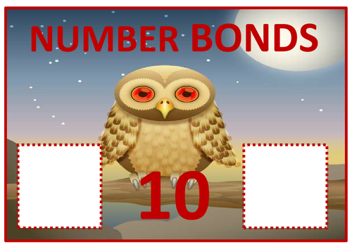 OWLS TEACHING RESOURCES - ANIMALS BIRDS NOCTURNAL SCIENCE LITERACY ...