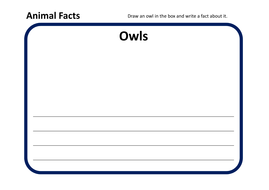 OWLS TEACHING RESOURCES - ANIMALS BIRDS NOCTURNAL SCIENCE LITERACY ...