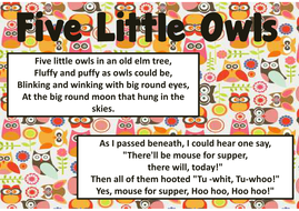 OWLS TEACHING RESOURCES - ANIMALS BIRDS NOCTURNAL SCIENCE LITERACY ...