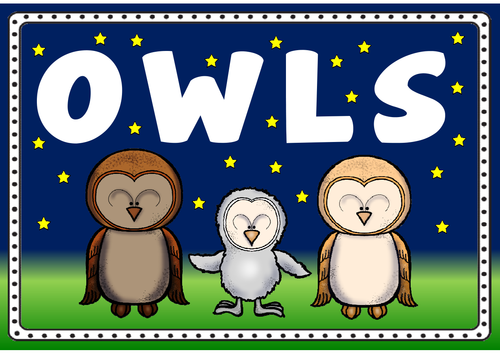 OWLS TEACHING RESOURCES - ANIMALS BIRDS NOCTURNAL SCIENCE LITERACY ...
