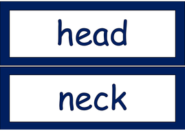 OWLS TEACHING RESOURCES - ANIMALS BIRDS NOCTURNAL SCIENCE LITERACY ...