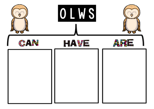 OWLS TEACHING RESOURCES - ANIMALS BIRDS NOCTURNAL SCIENCE LITERACY ...