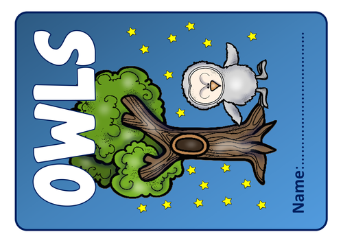 OWLS TEACHING RESOURCES - ANIMALS BIRDS NOCTURNAL SCIENCE LITERACY ...