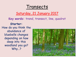 GCSE Transects | Teaching Resources