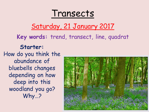 Gcse Transects Teaching Resources