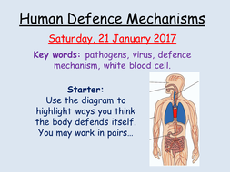 AQA-Infection and Response- Human Defence Mechanisms | Teaching Resources