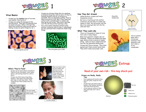 AQA- Infection and Response- Viral Diseases | Teaching Resources