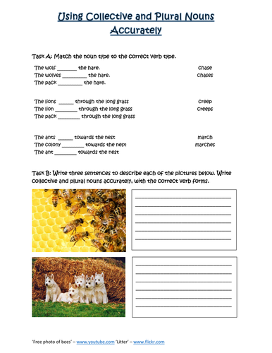 Collective and Plural Nouns! | Teaching Resources