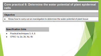 A-Level Biology B - Water Potential by david_worden | Teaching Resources