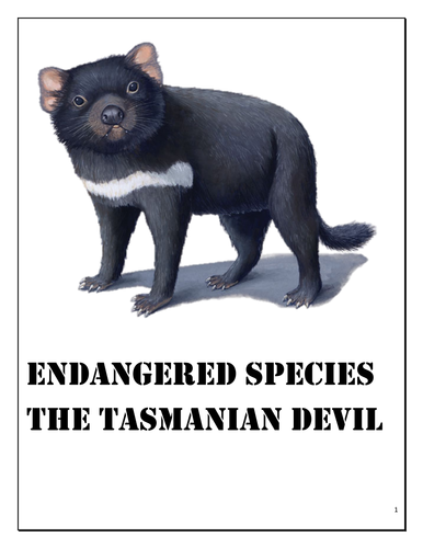 Tasmanian Devil Endangered Species Workbook | Teaching Resources