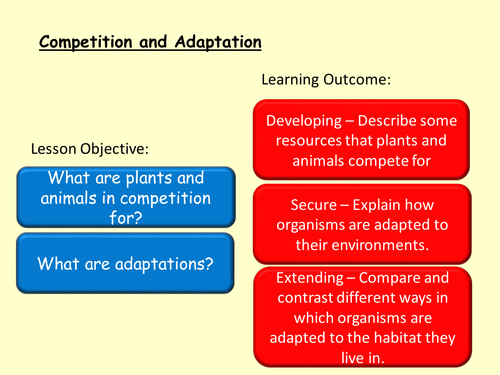 KS3 year 9 Competition and Adaptation | Teaching Resources