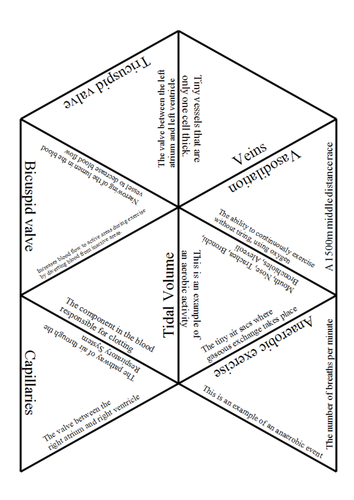 GCSE PE New Edexcel Spec Tarsia Triangle Puzzle Sections 1.2 & 1.3 ...