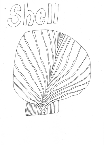 Shell Colouring Page | Teaching Resources