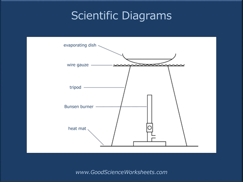 Laboratory Equipment and Scientific Diagrams [BUNDLE] | Teaching Resources
