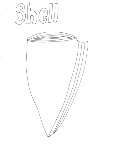 Seaside Shell Colouring Page | Teaching Resources