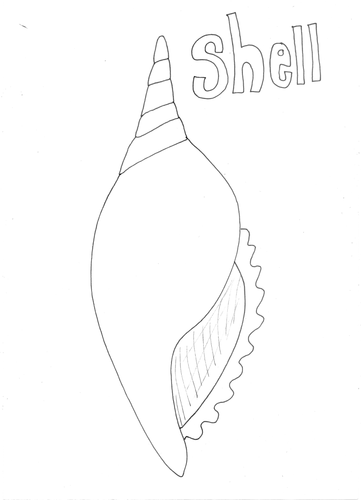 Seaside Shell Colouring Page | Teaching Resources