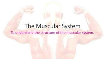 New AQA GCSE PE Applied Anatomy and Physiology | Teaching Resources