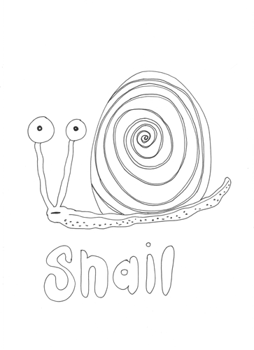 Minibeasts: Snail | Teaching Resources