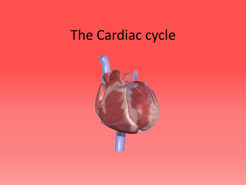NEW AQA AS Biology 7.5 The cardiac cycle | Teaching Resources