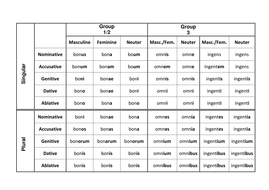 Latin Adjectives table | Teaching Resources