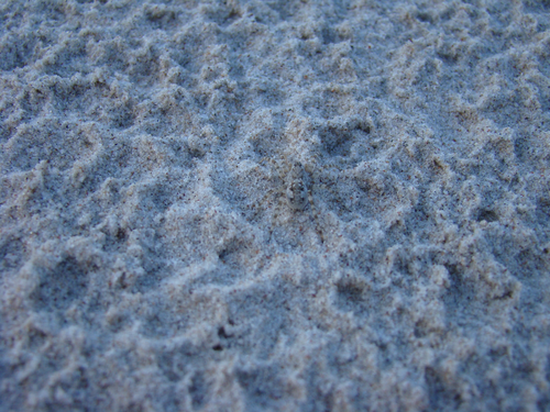 Minibeasts: Spiders | Teaching Resources