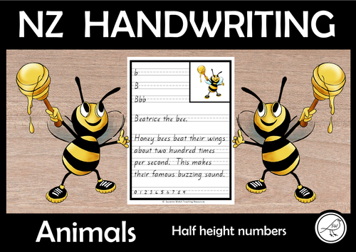 New Zealand Handwriting Copy Cards - Animals | Teaching Resources