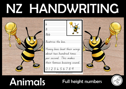 New Zealand Handwriting Copy Cards - Animals | Teaching Resources