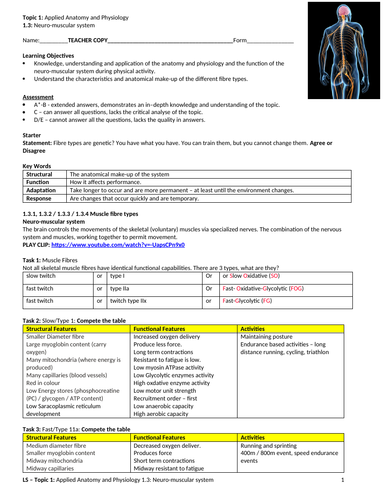 A-level PE EDEXCEL (Spec 2016): 1.3: Neuro-muscular system (part 1 ...