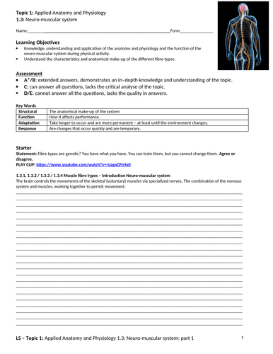 A-level PE EDEXCEL (Spec 2016): 1.3: Neuro-muscular system (part 1 ...