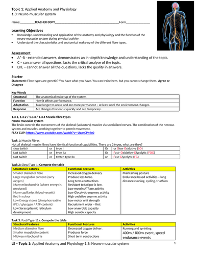 A-level PE EDEXCEL (Spec 2016): 1.3: Neuro-muscular system (part 1 ...