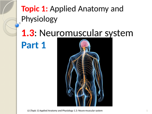 A-level PE EDEXCEL (Spec 2016): 1.3: Neuro-muscular system (part 1 ...