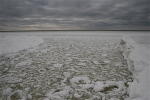 Seasons: The Frozen Baltic Sea | Teaching Resources
