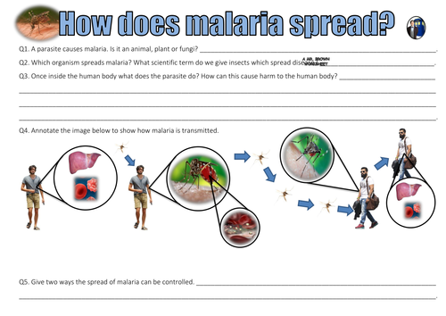 Fungal and Protist Diseases | Teaching Resources